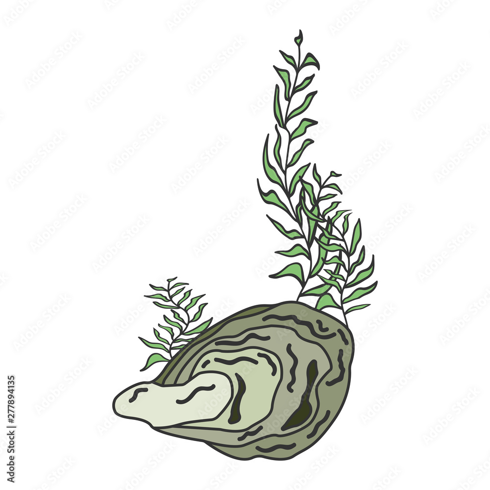 Oyster shell isolated on white background.Vector cartoon illustration ...