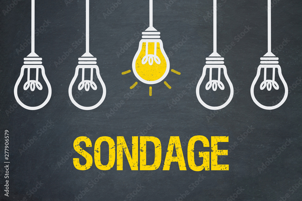 Sondage Stock Photo | Adobe Stock