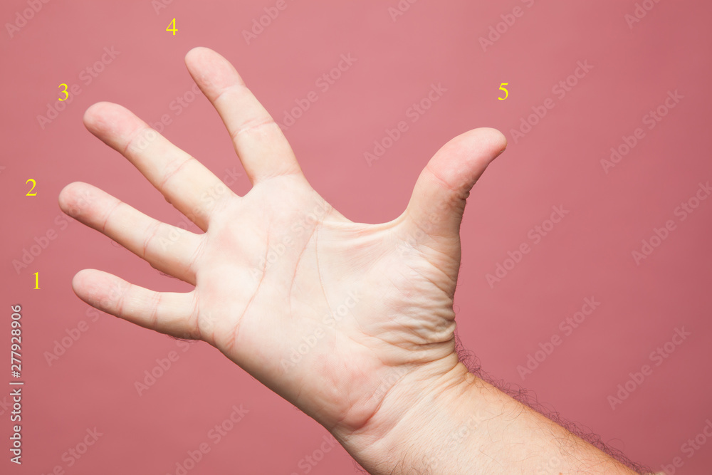Mano, dedos de la mano, pulgar, mano haciendo señales y expresando o ...