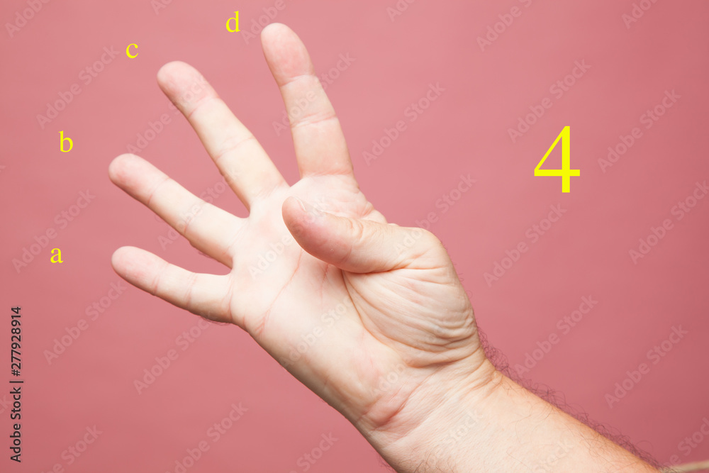 Mano, dedos de la mano, pulgar, mano haciendo señales y expresando o ...