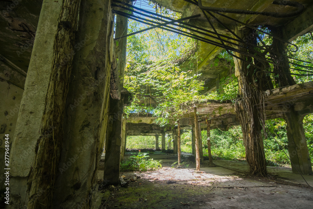 Japanese military headquarters, Peleliu Island in Palau. War ruins, the ...
