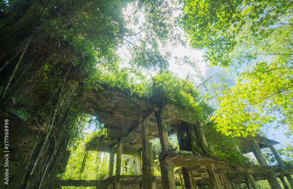 Japanese military headquarters, Peleliu Island in Palau. War ruins, the ...