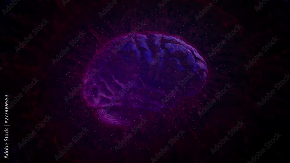 Digital brain. Artificial intelligence. Head X-ray. Rotating X-rays of ...