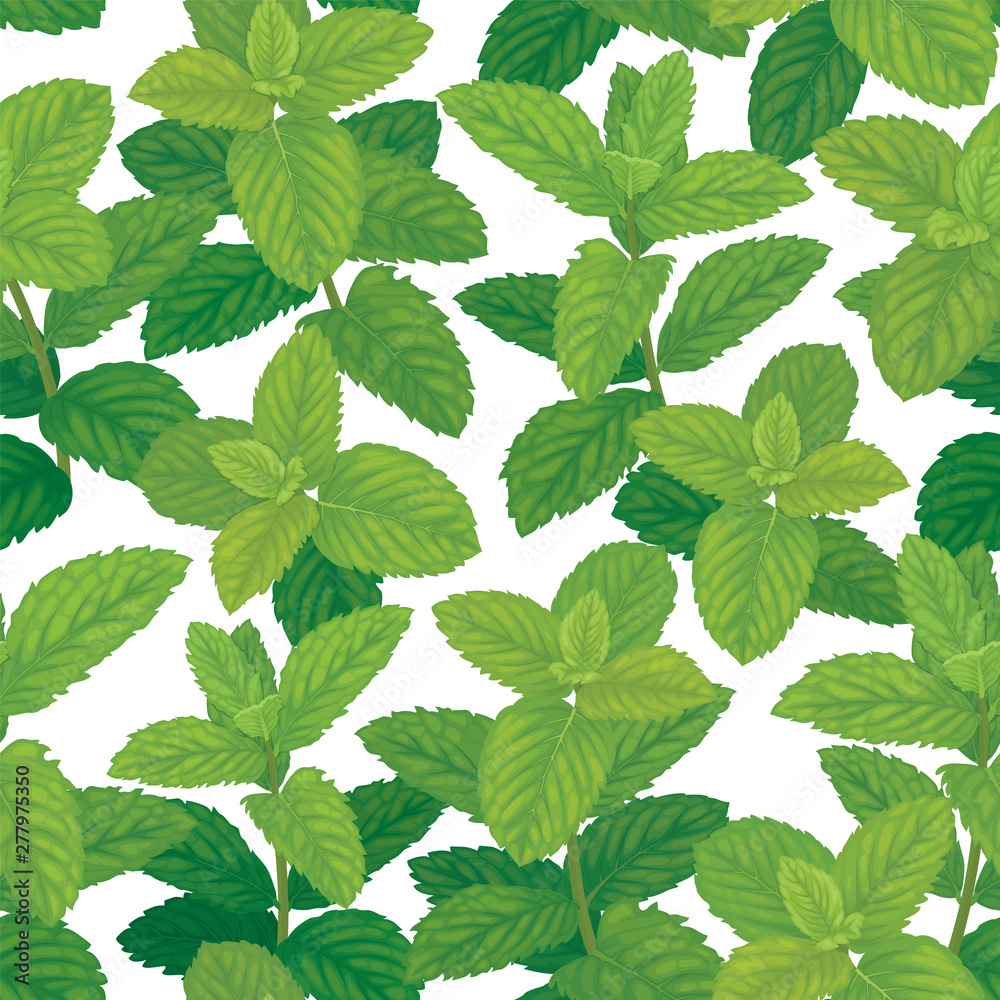 Mint Leaf Pattern