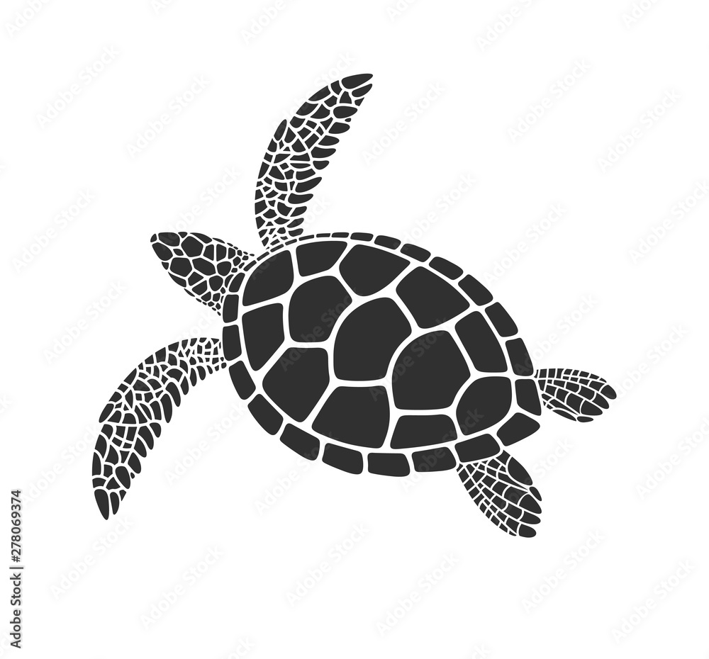 Sea turtle logo. Isolated turtle on white background. Reptile Stock ...