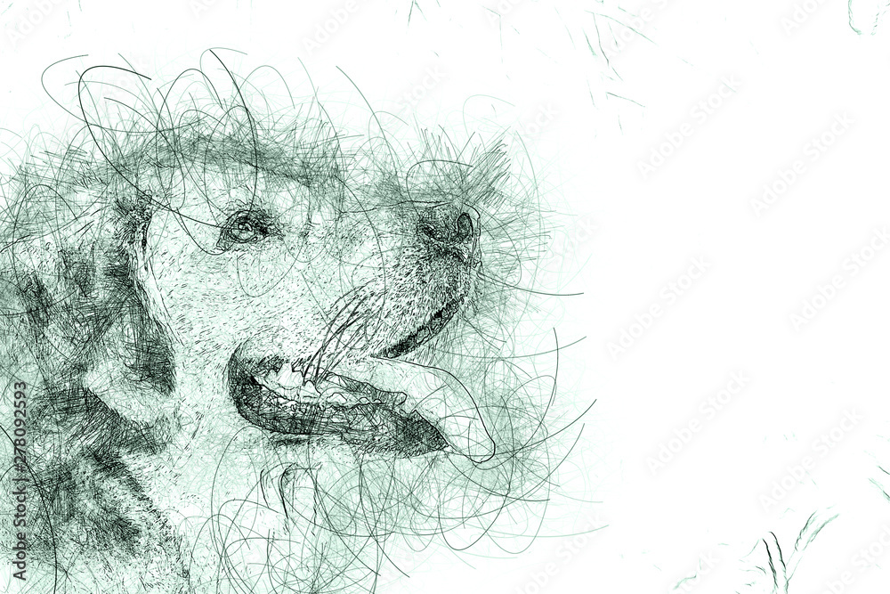 cute scribble dog face Stock Illustration | Adobe Stock