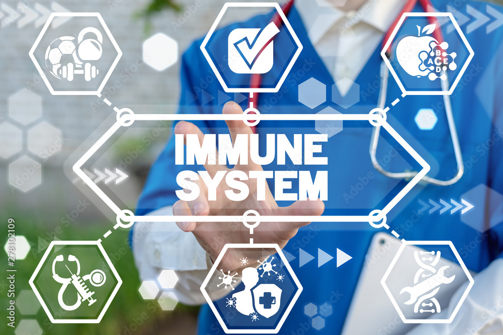 Doctor touches immune system words on virtual display. Immune system ...