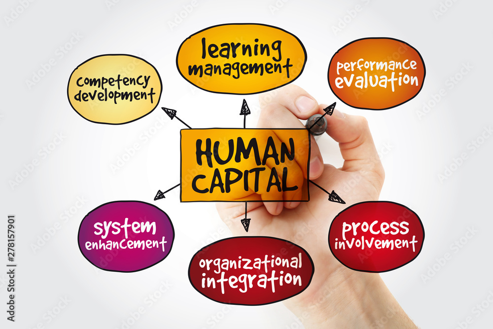 Human capital mind map with marker, business management strategy ...