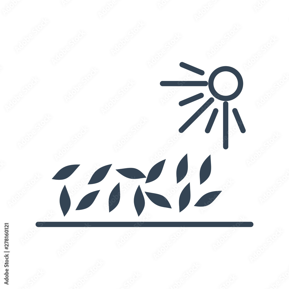 black icon seeds, grains, sun drying process Stock Vector | Adobe Stock