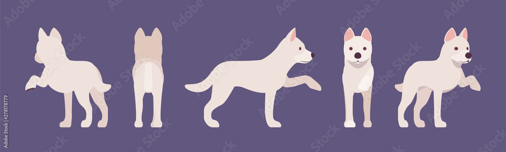 White shepherd dog giving paw. Working active breed, cute family pet ...