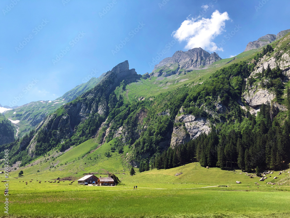 Rural traditional architecture with livestock farms in the ...