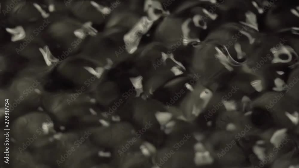 Water forming cymatic patterns and reflecting light. Fluid surface ...