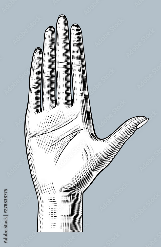 Female Hand Palm Drawing