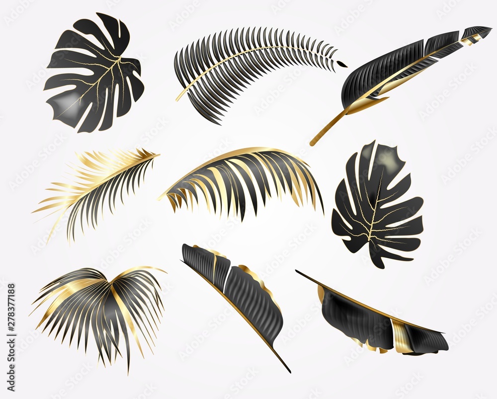 Realistic illustration set of tropical gold and black leaves isolated ...