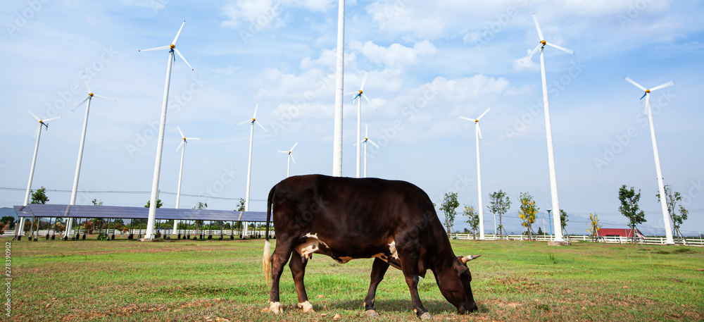 Landscape of ecosystem agriculture with cow, Wind turbines and solar ...