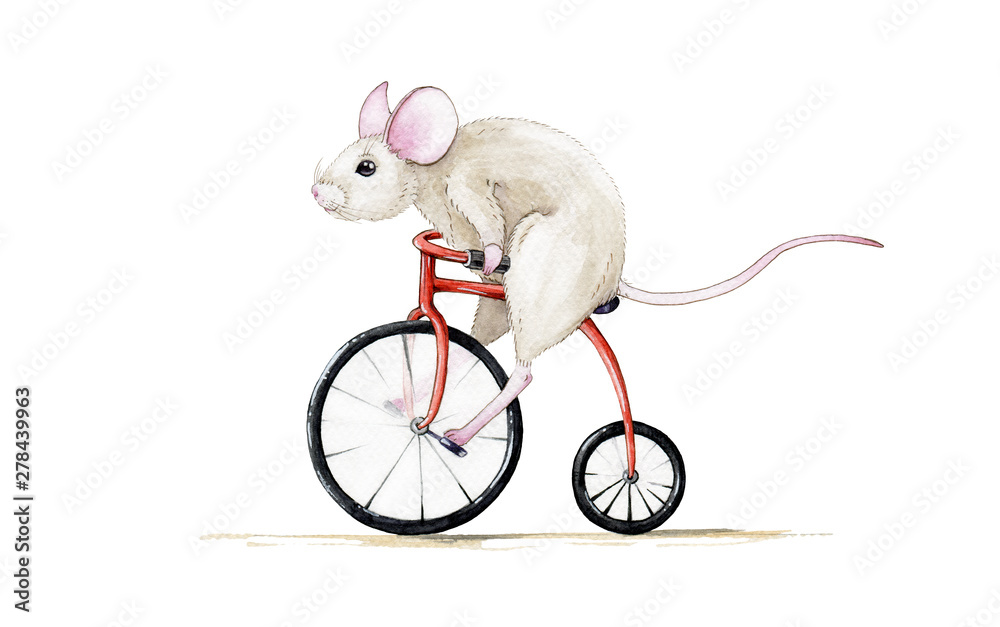 Watercolor illustration set of cute little mouse riding a bike. Hand ...