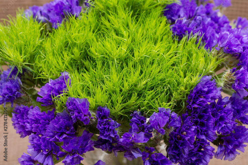 Green Ball Dianthus