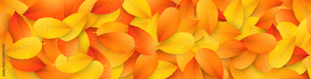 Vector horizontally seamless border with realistic colored fall leaves ...
