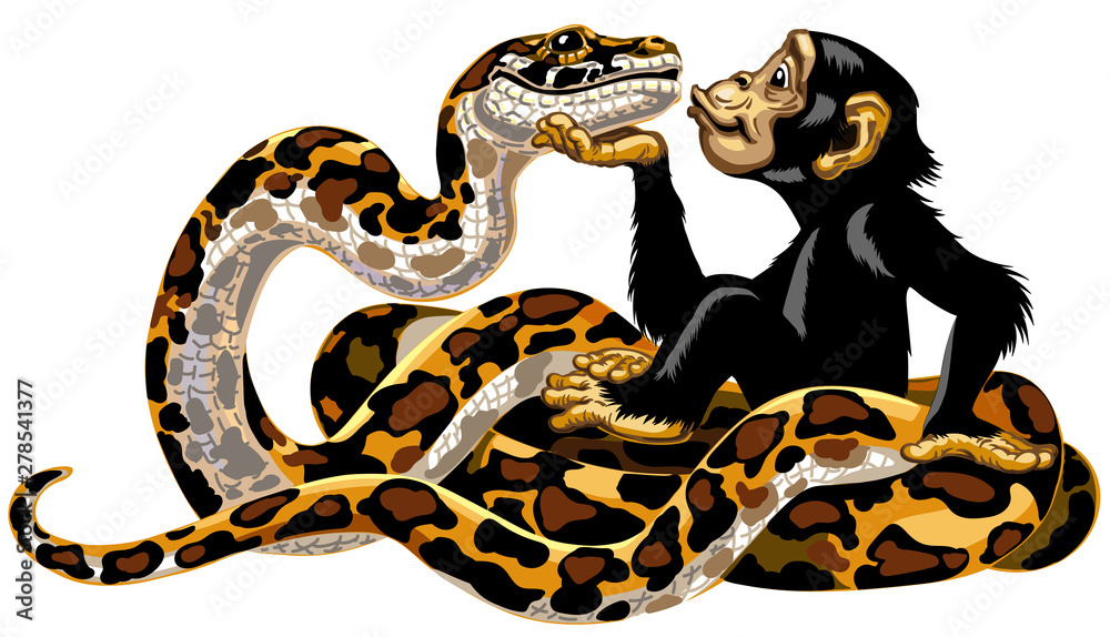 Cartoon chimpanzee and python snake friendship. Great ape or chimp ...
