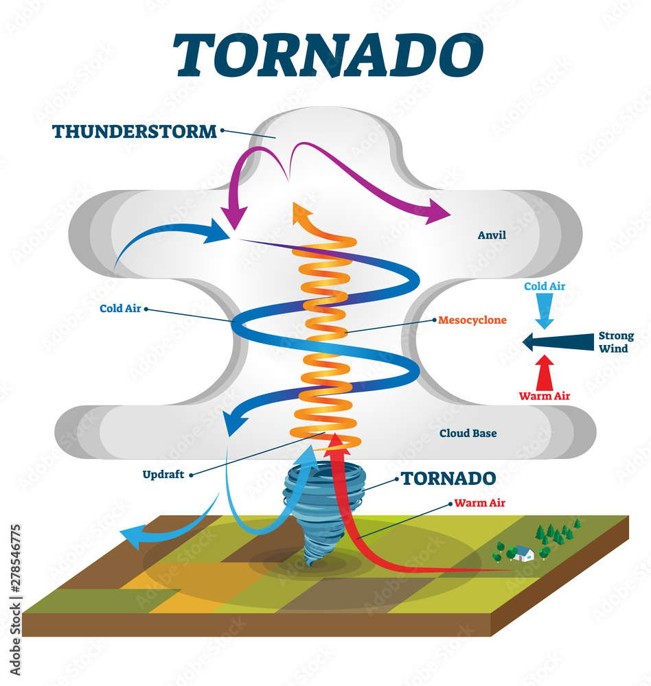 Tornado vector illustration. Labeled educational wind vortex ...