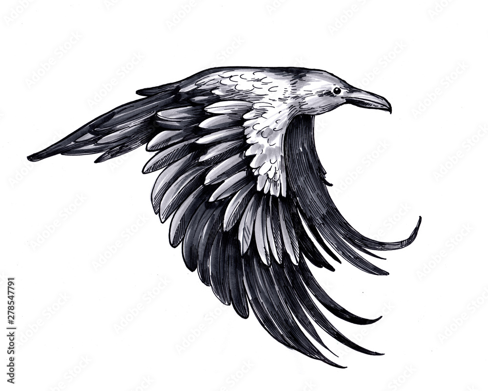Sketch of flying raven. Hand drawn illustration Stock Illustration ...