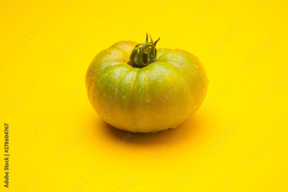 Tomate verde en proceso de maduración. Tomate ecológico ha sido ...
