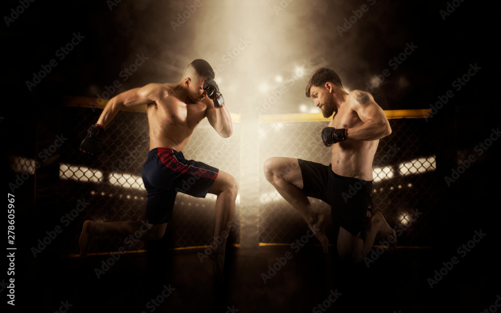 MMA boxers fighters fight in fights without rules Stock Photo | Adobe Stock
