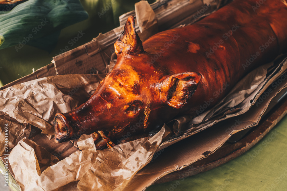 Head shot of the newly delivered and unwrapped all time favorite, the ...