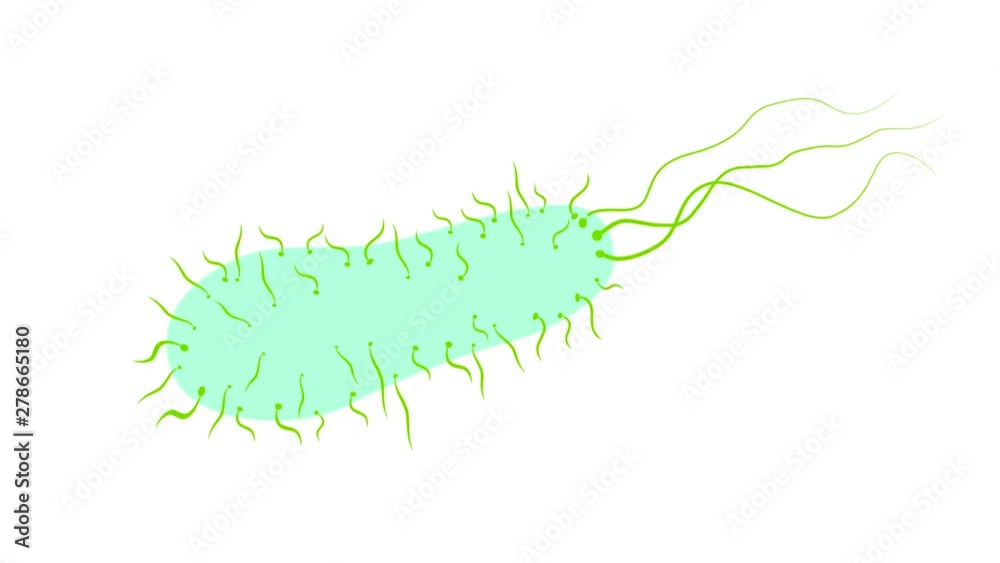 2d Animation motion graphics showing a bacteria, a microscopic, single ...