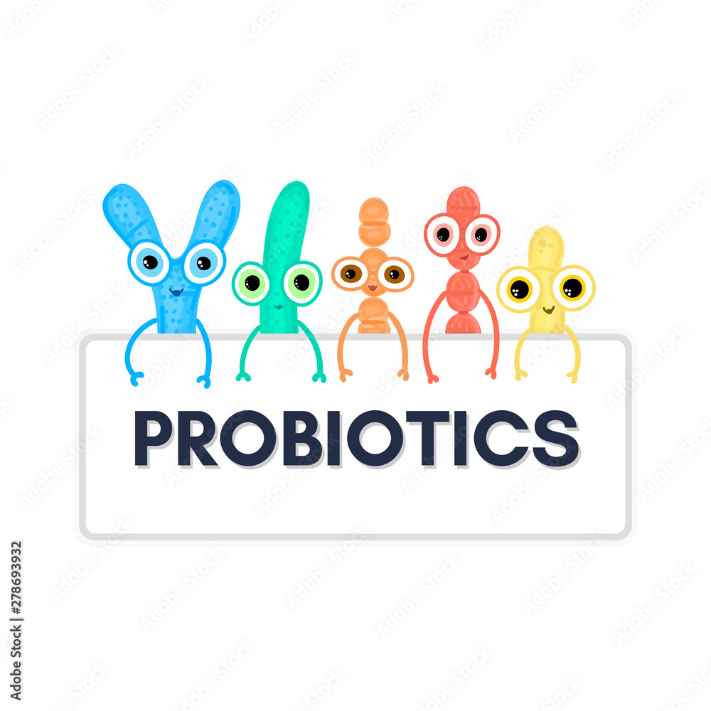 Probiotics. Lactic acid bacterium. Bifidobacterium, lactobacillus ...
