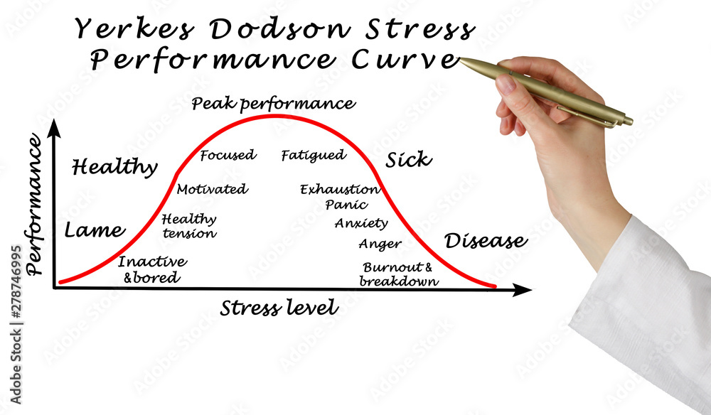 Yerkes Dodson Stress Performance Curve. Stock Photo | Adobe Stock