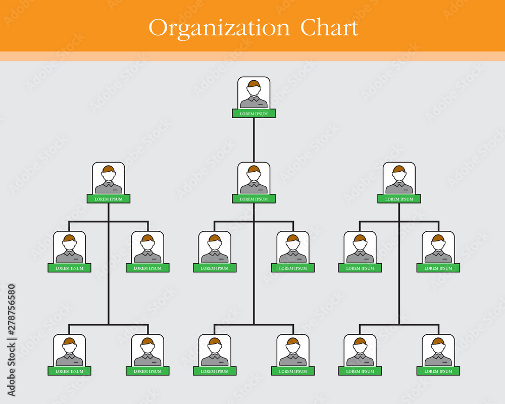 Organization Chart Info graphics, vector design Stock Vector | Adobe Stock