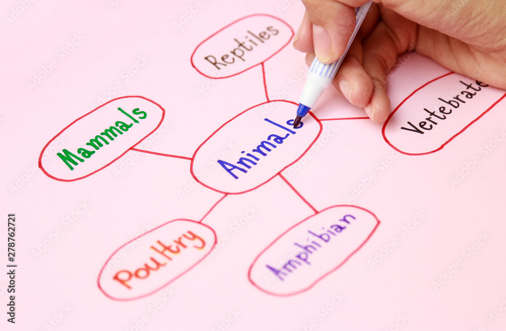 Writing mind map concept for learning and thinking Stock Photo | Adobe ...