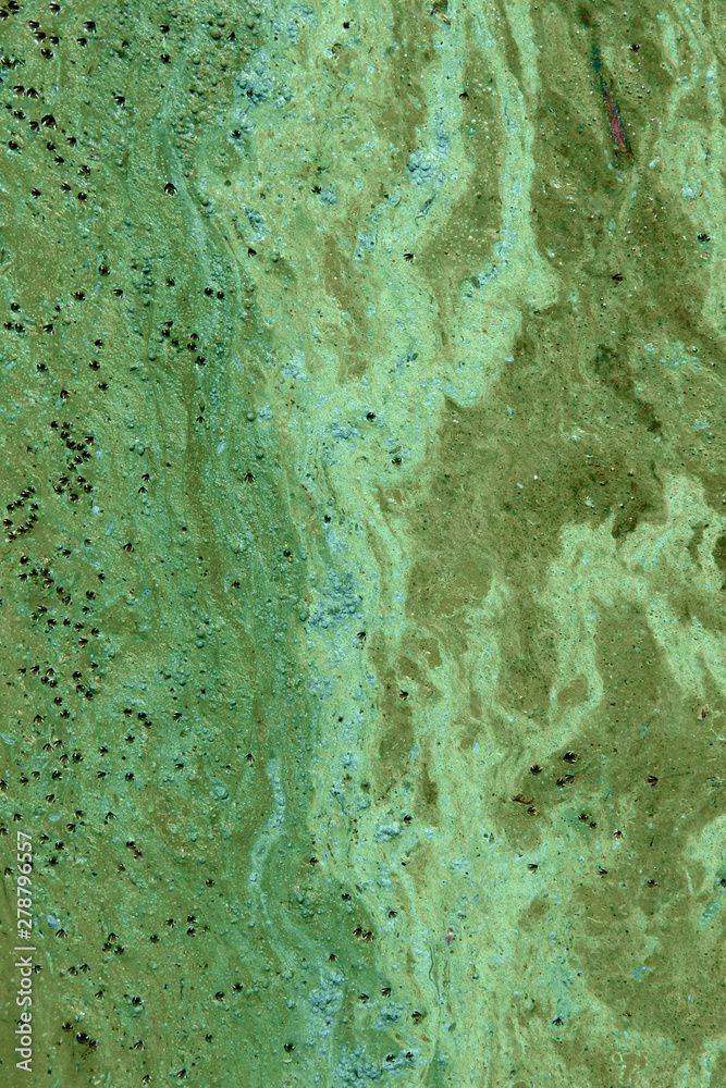 Blurred texture background. Cropped shot of dirty water, top view ...