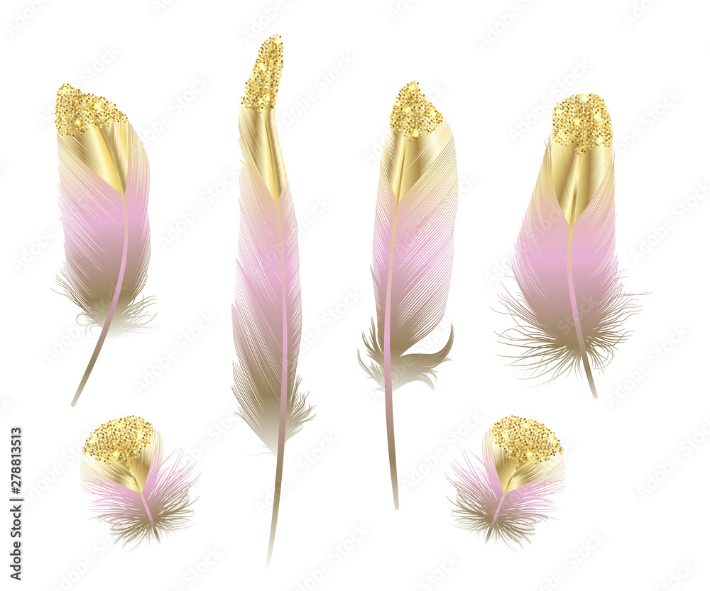 Set of gold feather. Vector illustration. Stock Vector | Adobe Stock