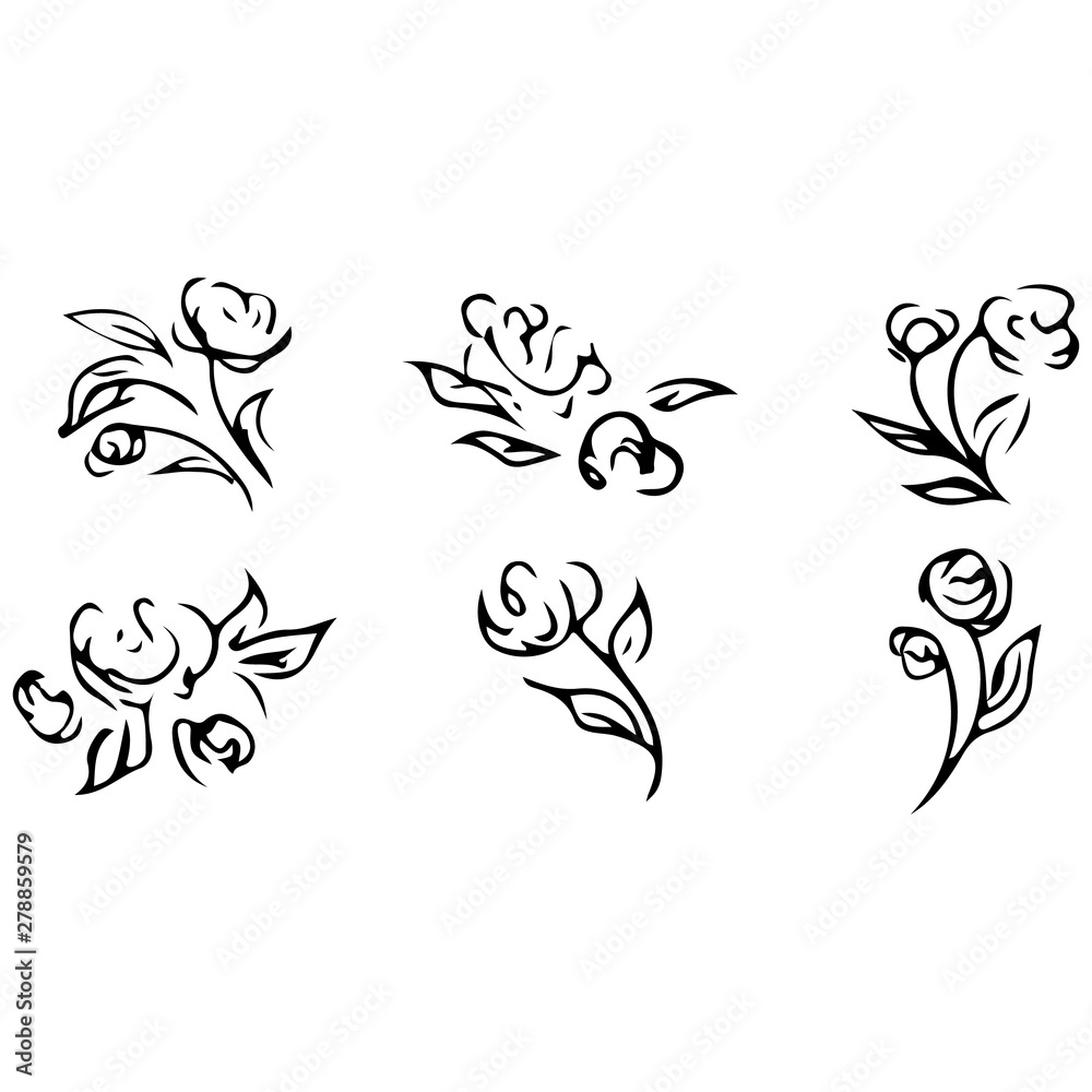 Rose outline set. Isolated drawing. Vintage sketch. Nature vector ...