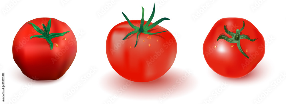 Three red tomatoes with shadow, highlights and water drops with green ...