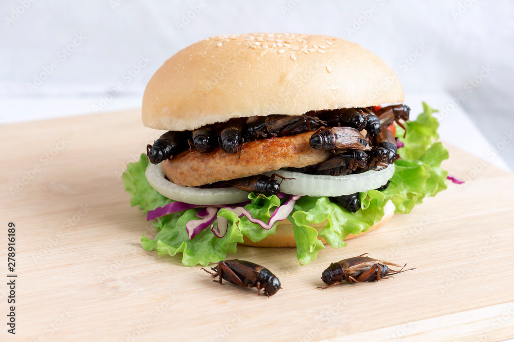 Crickets insect for eating as food items in bread burger made of fried ...
