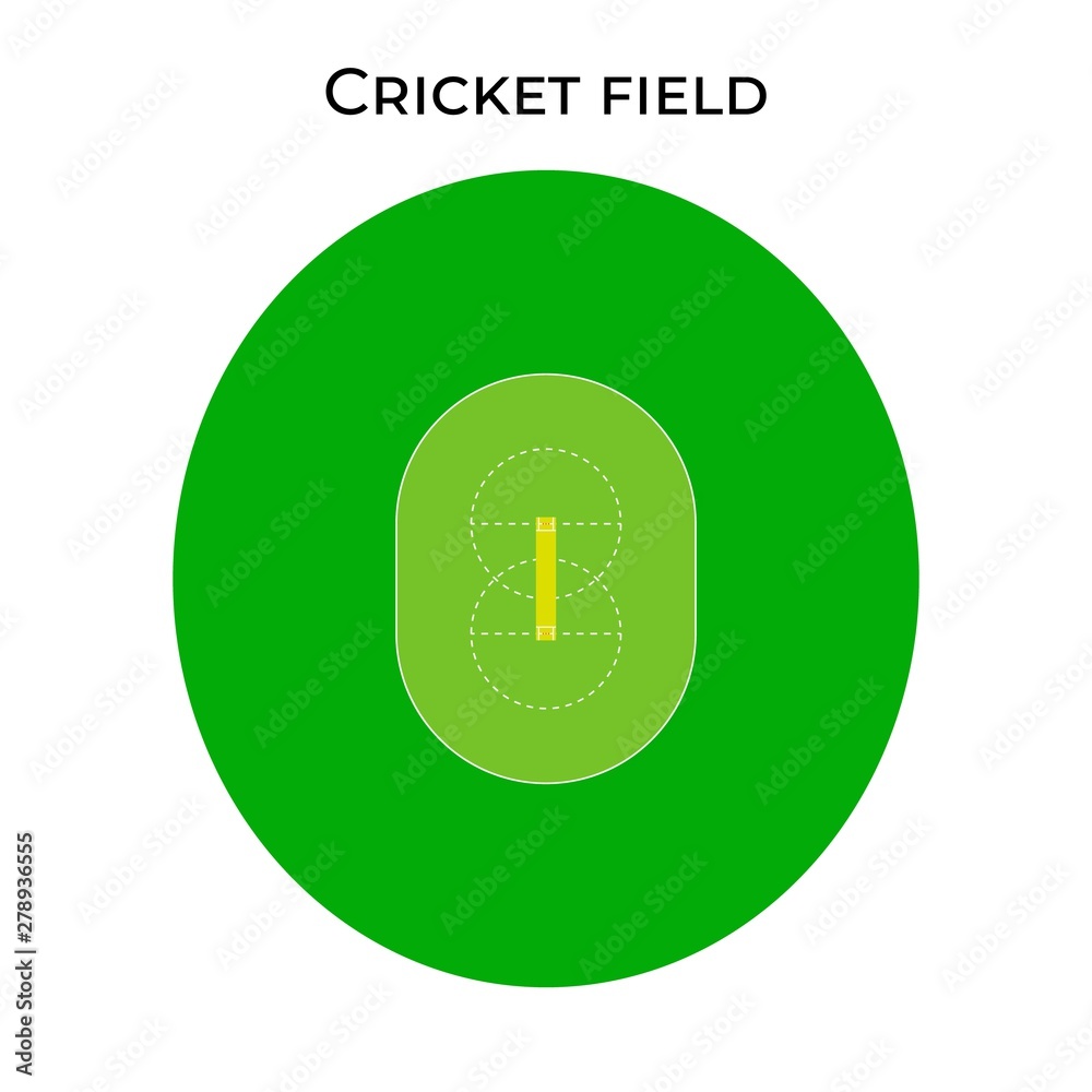 Cricket Field in real proportions, cricket stadium Stock Vector | Adobe ...