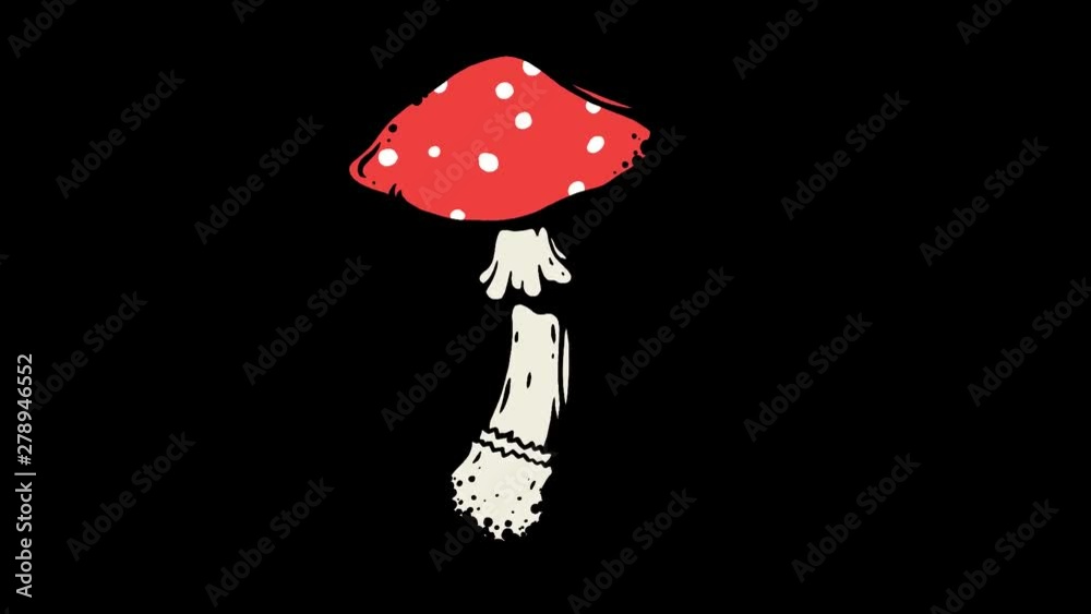 2d Animation loopable motion graphic drawing of a mushroom. Stock Video ...