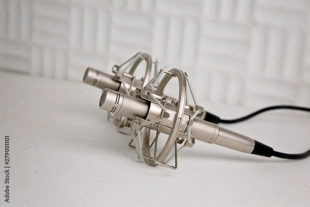 Small Diaphragm Condenser Microphone Stock Photo | Adobe Stock