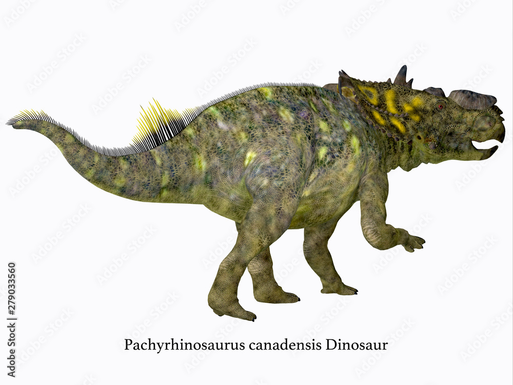 Pachyrhinosaurus Dinosaur Tail with Font - Pachyrhinosaurus was a ...
