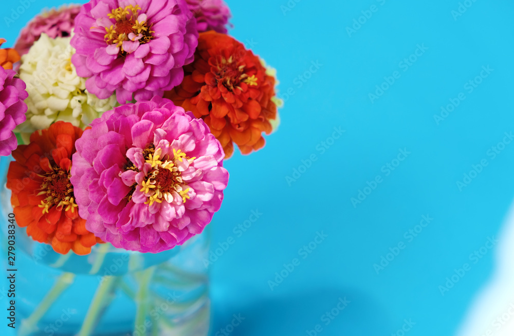 Blue Zinnia