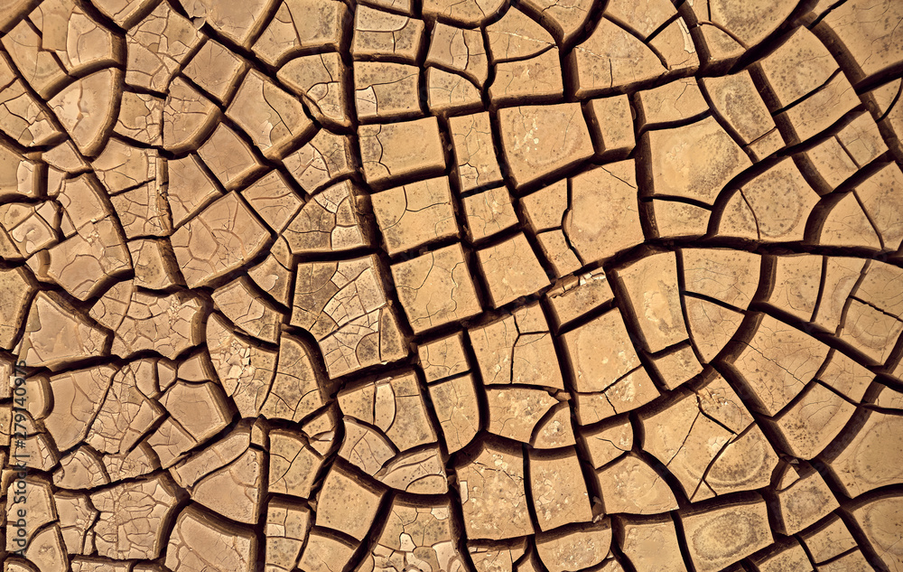 Cracked Desert Ground