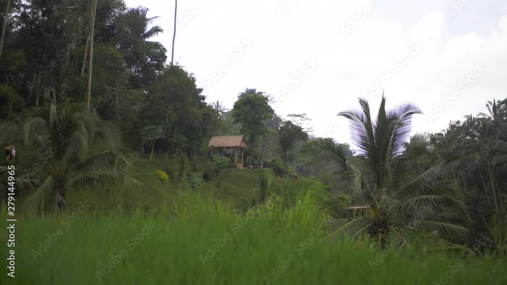 Small hut on a steep hillside of the Tegalalang rice terraces of Bali ...