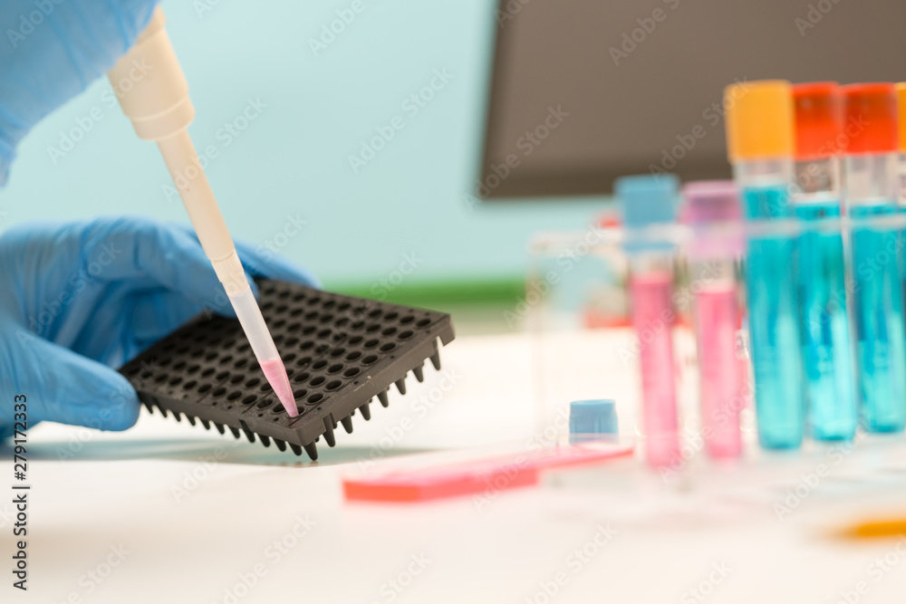 Laboratory of genetic research. PCR plates and multichannel pipettes ...