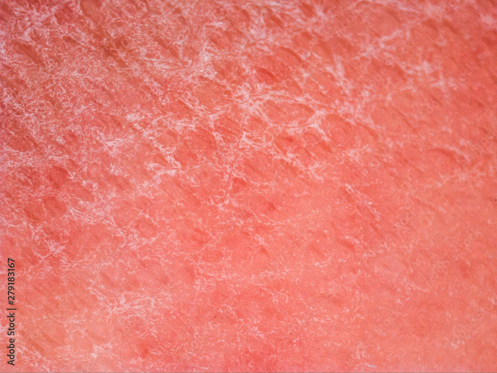 Human skin magnified by microscope Stock Photo | Adobe Stock