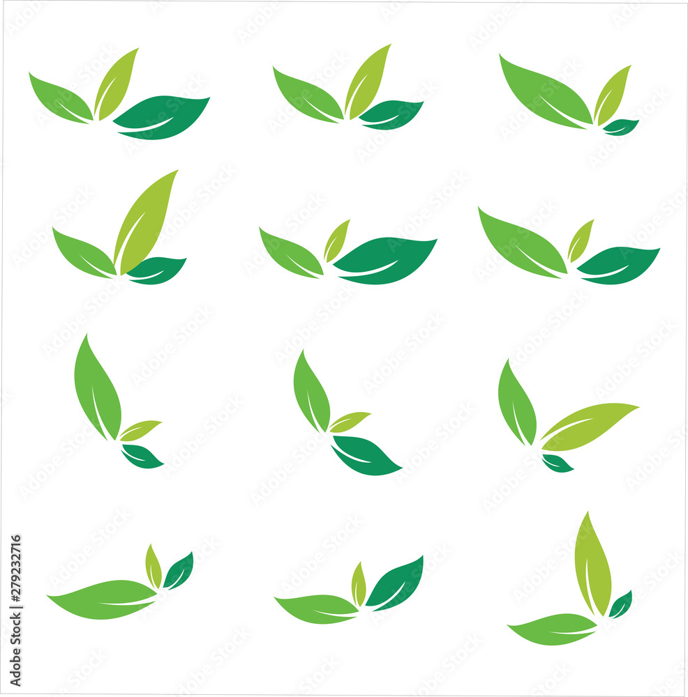 Leaves icon set vector. Various shapes of green leaves of trees and ...