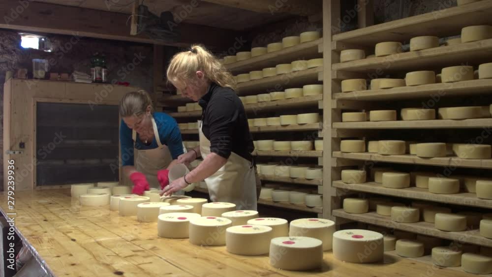 One of the stages of processing the famous Swiss cheese. vídeo do Stock ...