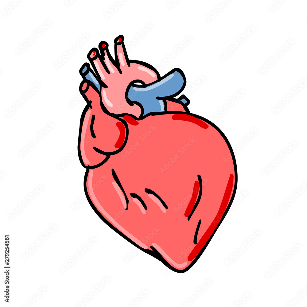 Cartoon style illustration of a human heart anatomy, an organ that ...